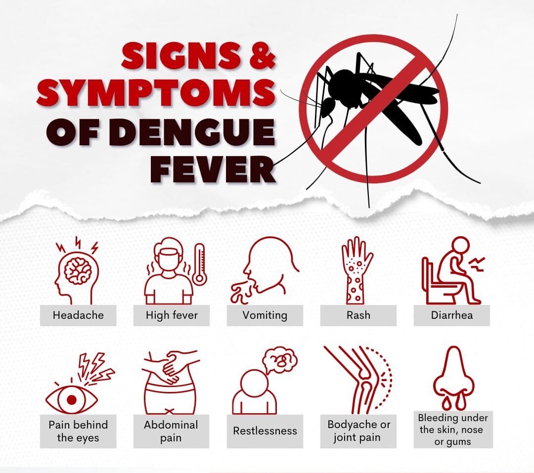 Understanding Dengue Fever in Children: A Guide for Indian Parents ...